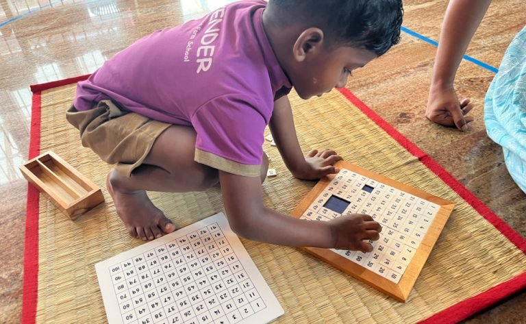 Introduction to Montessori Education for Toddlers - Lavender ...